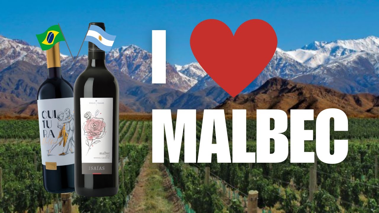 MALBEC - O Vinho perfeito para quem está iniciando! Barrica de Carvalho ...