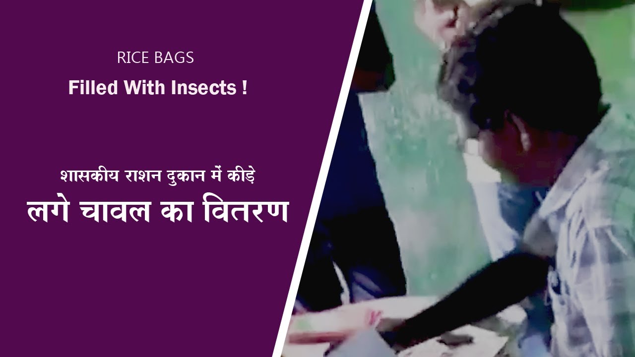SURAJPUR: RICE BAGS FILLED WITH INSECTS!..शाश्कीय राशन दुकान में कीड़े ...