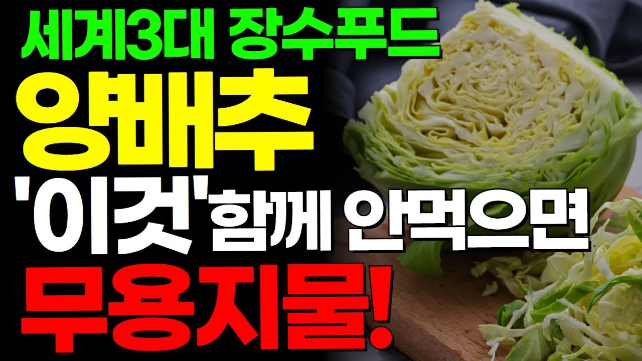 양배추 먹을때 꼭 이것과 드셔야 합니다 의사가 경고하는 잘못된 양배추 섭취방법 L 양배추와 최고의 궁합 최악의 궁합 그리고 해독주스 특급 레시피 L Youtube