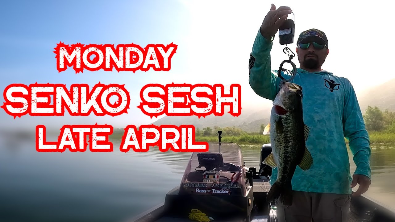 Senko Sesh | April Bass Fishing | Post Spawn Lake Perris #fishing #bass ...