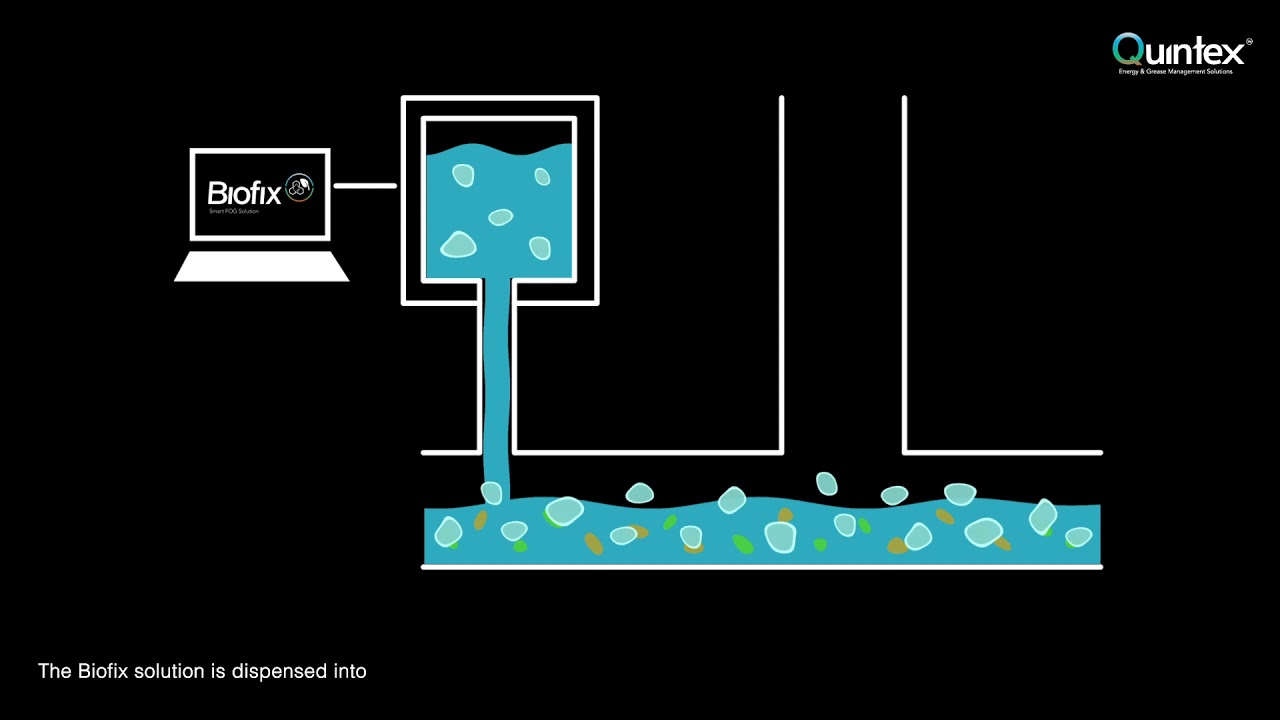 Quintex Biofix Animation - YouTube