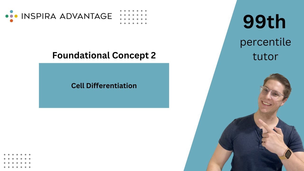 Foundational Concept 2: Cell Differentiation - YouTube