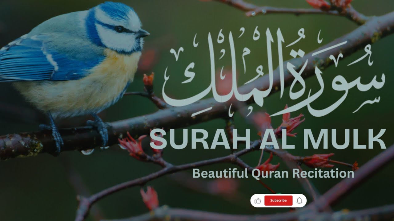 Surah Al Mulk | The Sovenrity | beautiful peacful recitation |surah ...