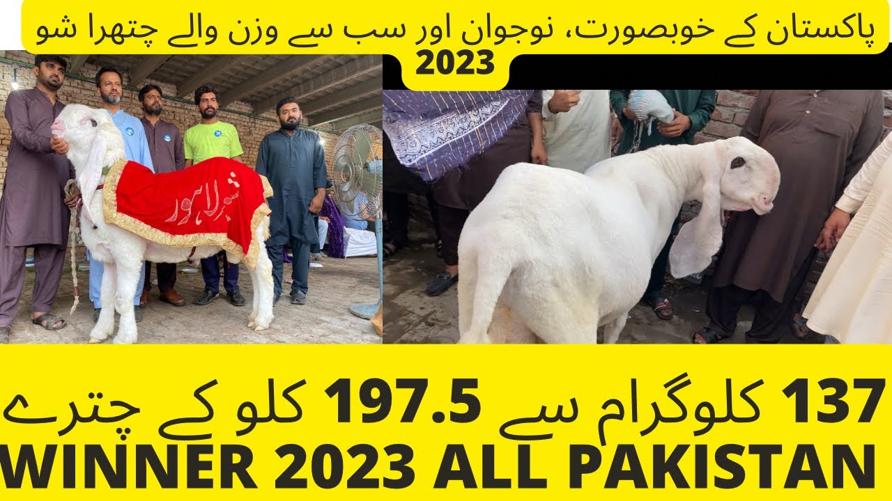 All CHATRAS Participated in ALL PAKISTAN CHATRA KAJLA Show 2023 ...