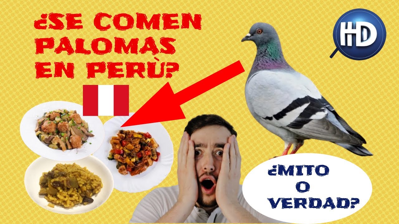 En Perú SÍ se comen palomas | Revisando el mito - YouTube