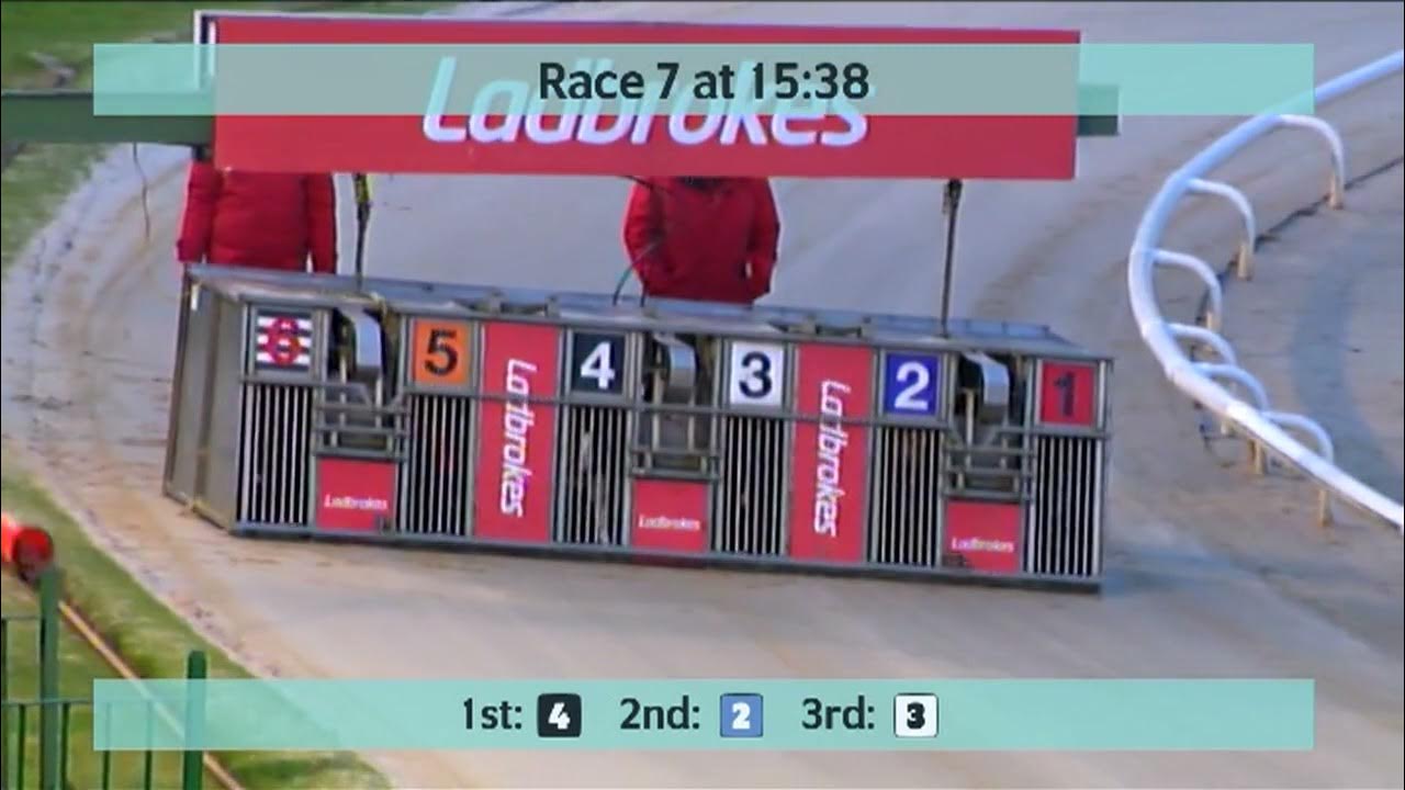 Monmore Greyhounds Races - 22nd December 2021 - YouTube Monmore Greyhounds Races - 22nd December 2021 - YouTube
