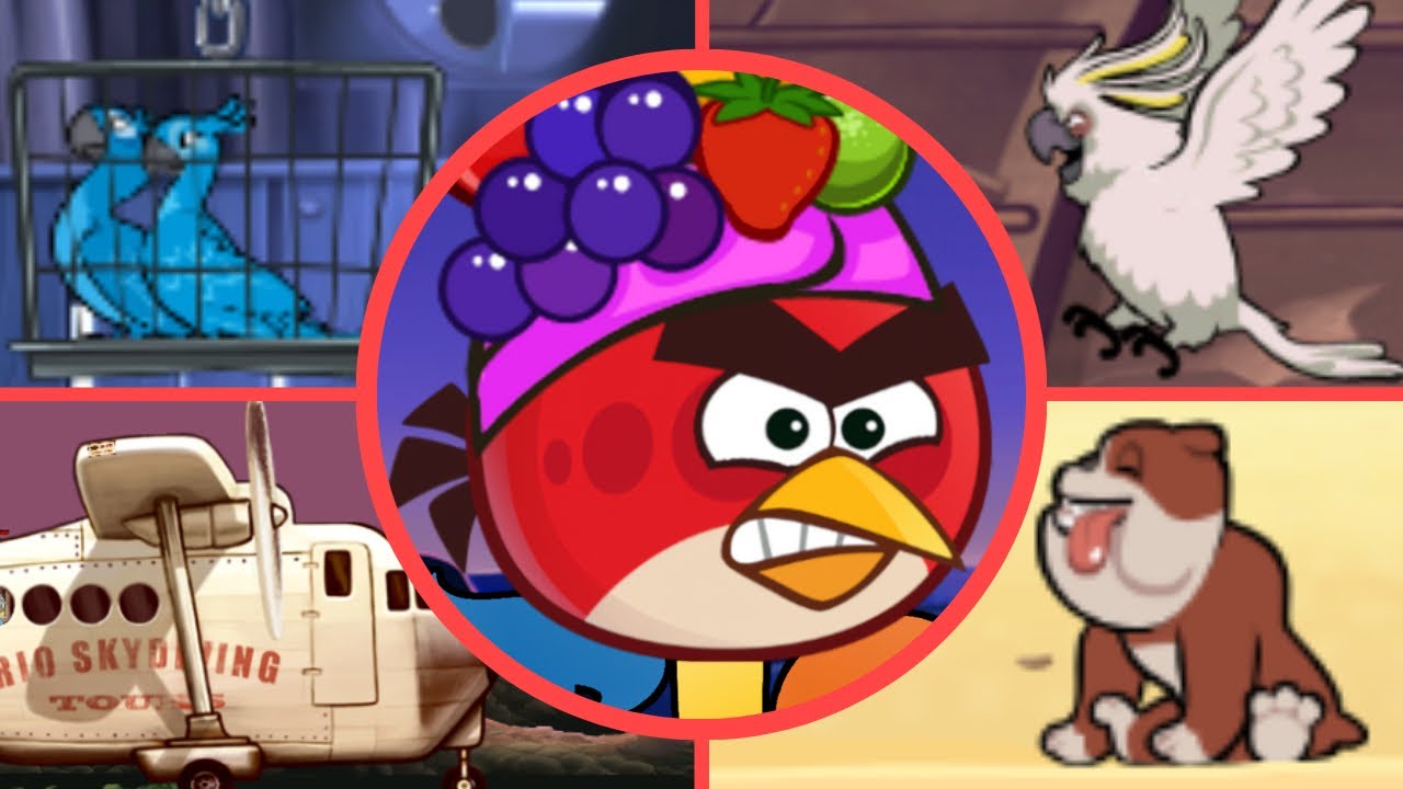 Angry Birds Rio Rehydrated - All Bosses (Luta dos Bosses) - YouTube
