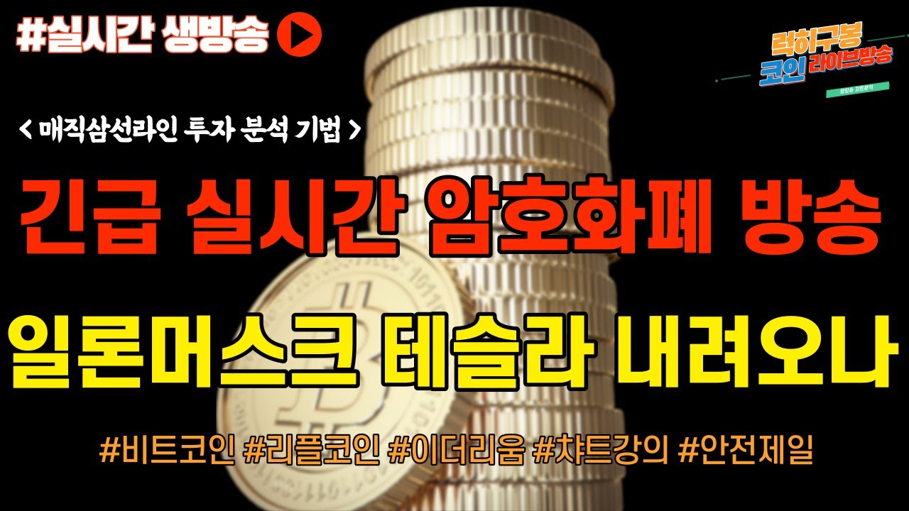 일론머스크 트위터에 더 집중하나 암호화폐 시그널 테슬라 코인 뉴스 정보 실시간 분석 비트코인 비트코인실시간방송