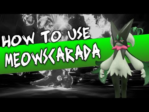 BEST Sets For Moewscarada - Competitive Guides - YouTube