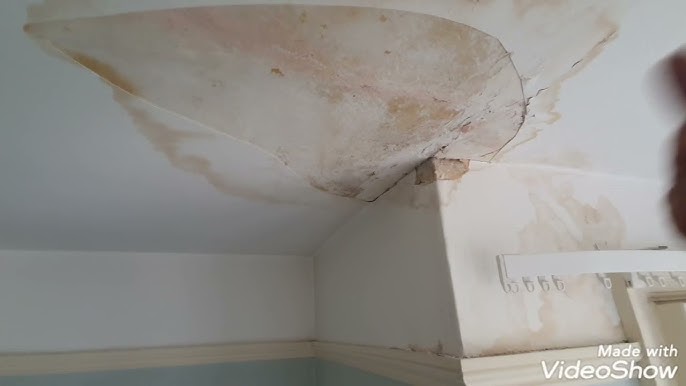 Repair Plasterboard Ceiling From Water Damage | Shelly Lighting
