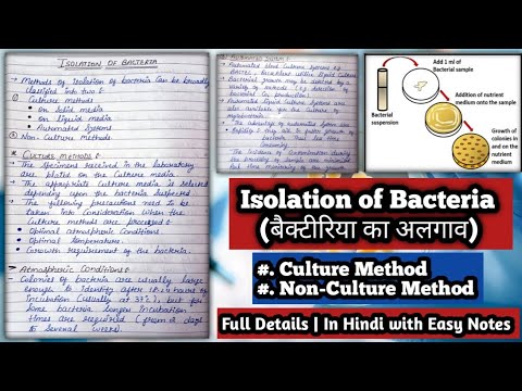 Isolation of Bacteria ( बैक्टीरिया का अलगाव ) | Culture Method - solid ...