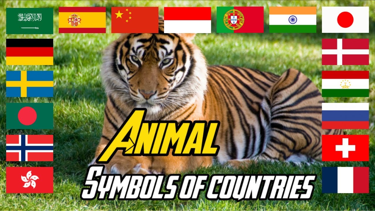 National Animals of Countries | Flags and Countries name With National ...