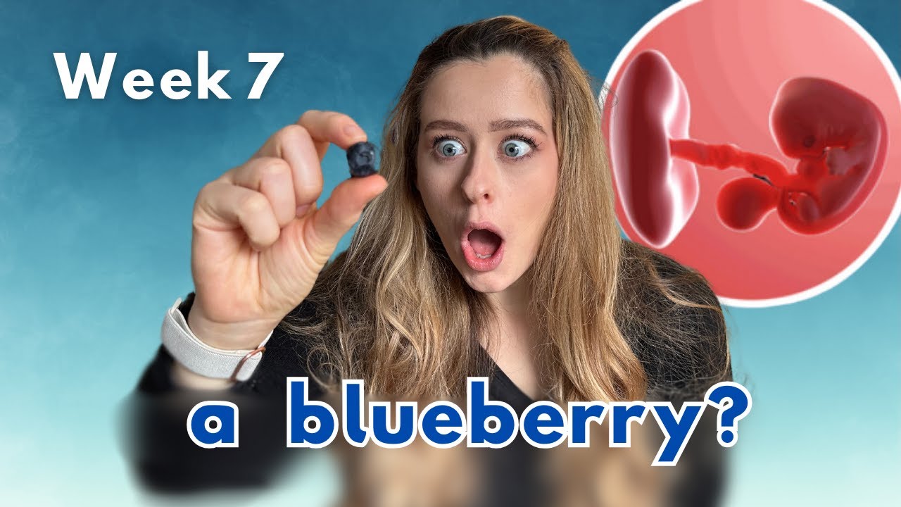 7 Weeks Pregnant: Symptoms and Development | Week by Week of Pregnancy ...