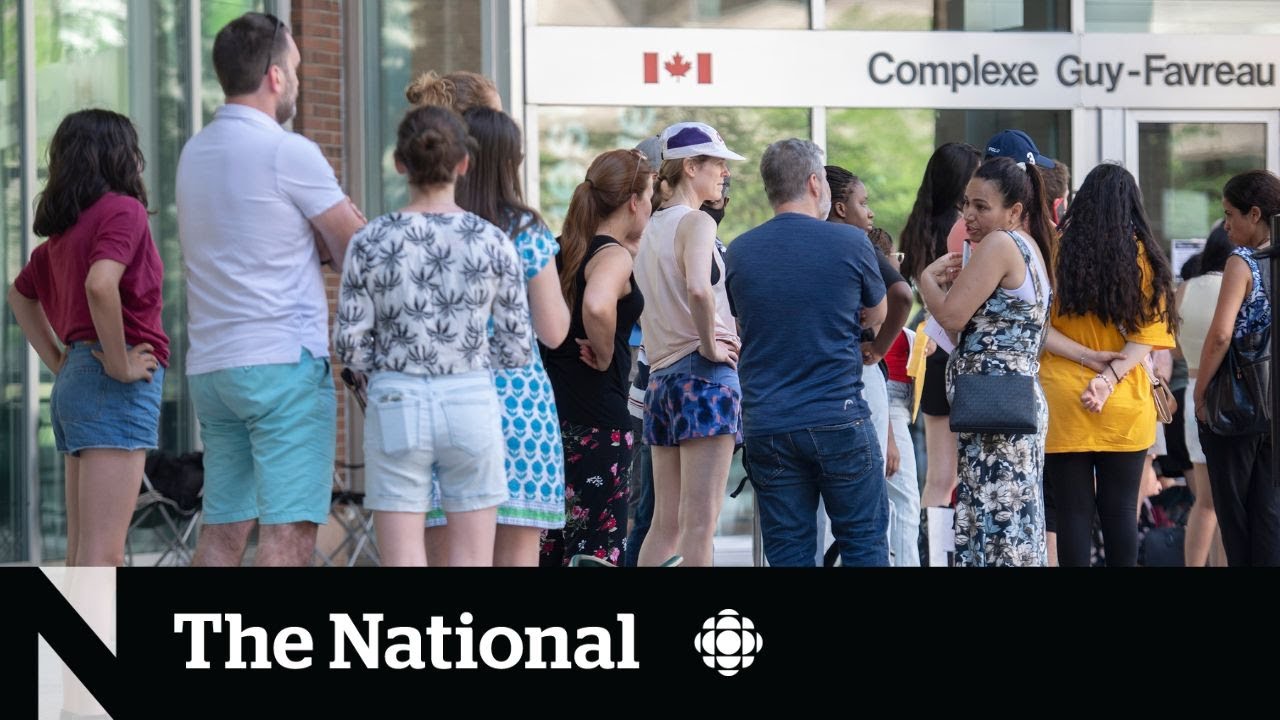 Ottawa making progress on government service backlogs, task force says - YouTube