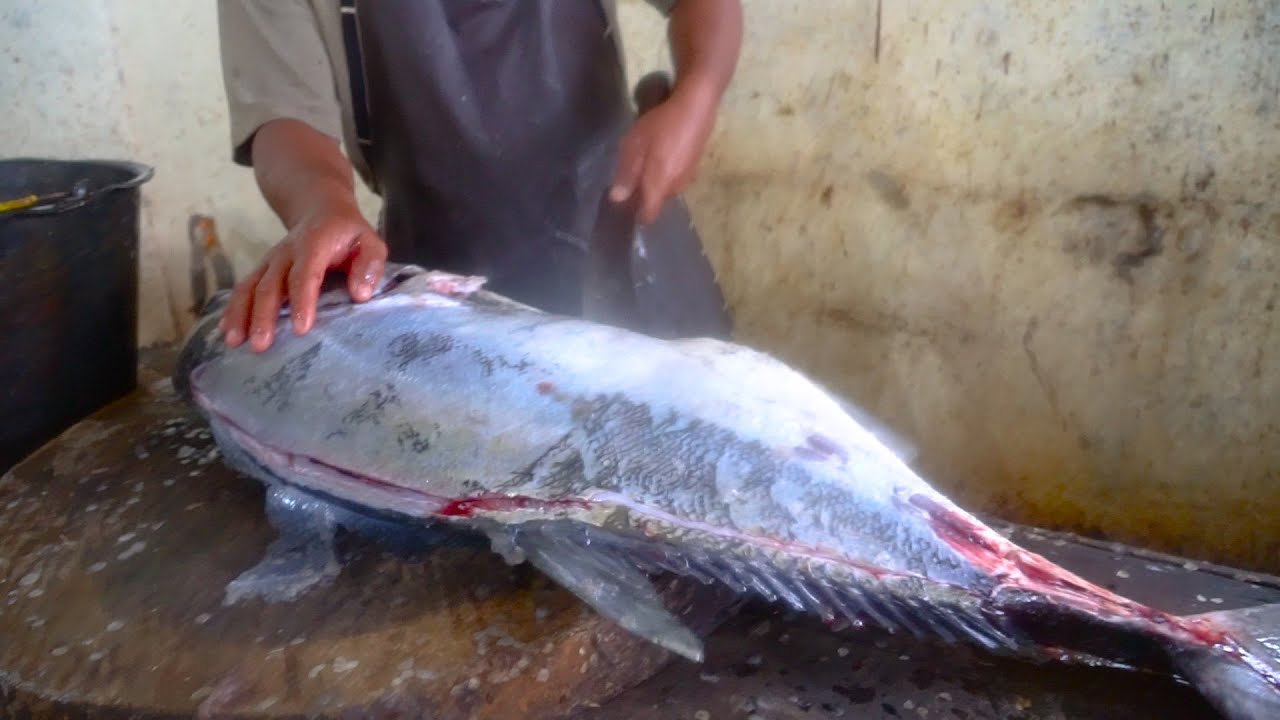 EXPERT FISH CUTTER 2023 || FISH CUTTING SKILLS IN TRADITIONAL FISH ...