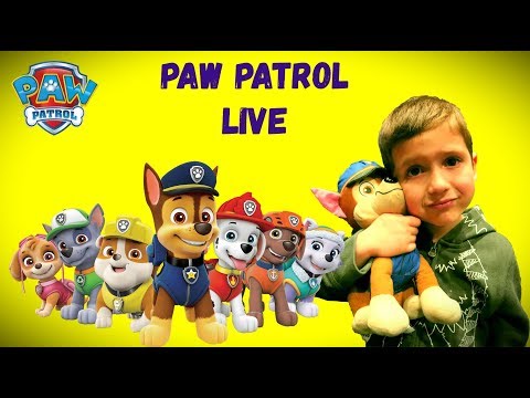 Paw Patrol Live! \