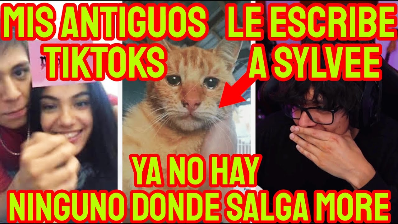 DAARICK BORRA SUS TIKTOKS CON MORE Y MAS POR MIEDO, ENVIA A SYLVEE UN ...
