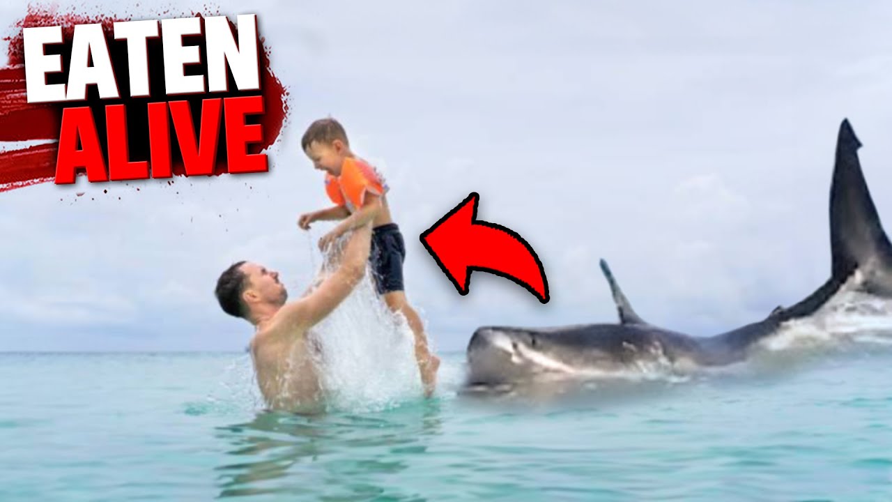 This Shark Eats Little Boy Alive While Father Attempts Rescue & Fails ...