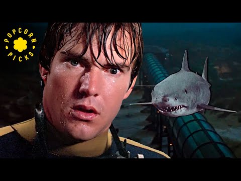 The Shark Explodes (Final Scene) | Jaws 3D