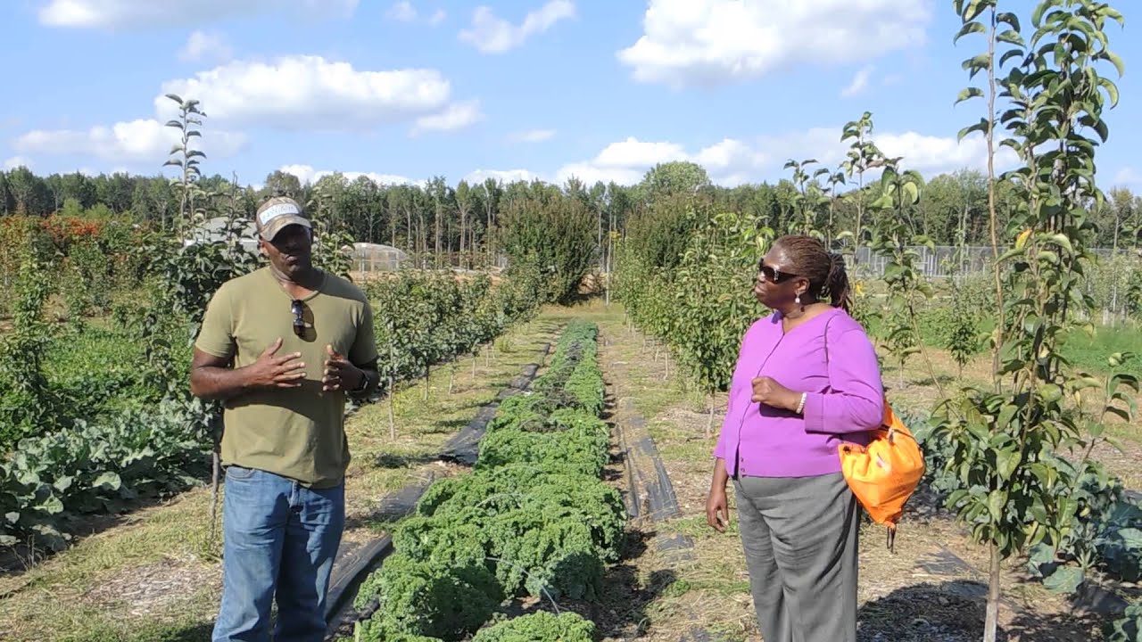 UDC CAUSES Muirkirk Farm with Che Axum - YouTube