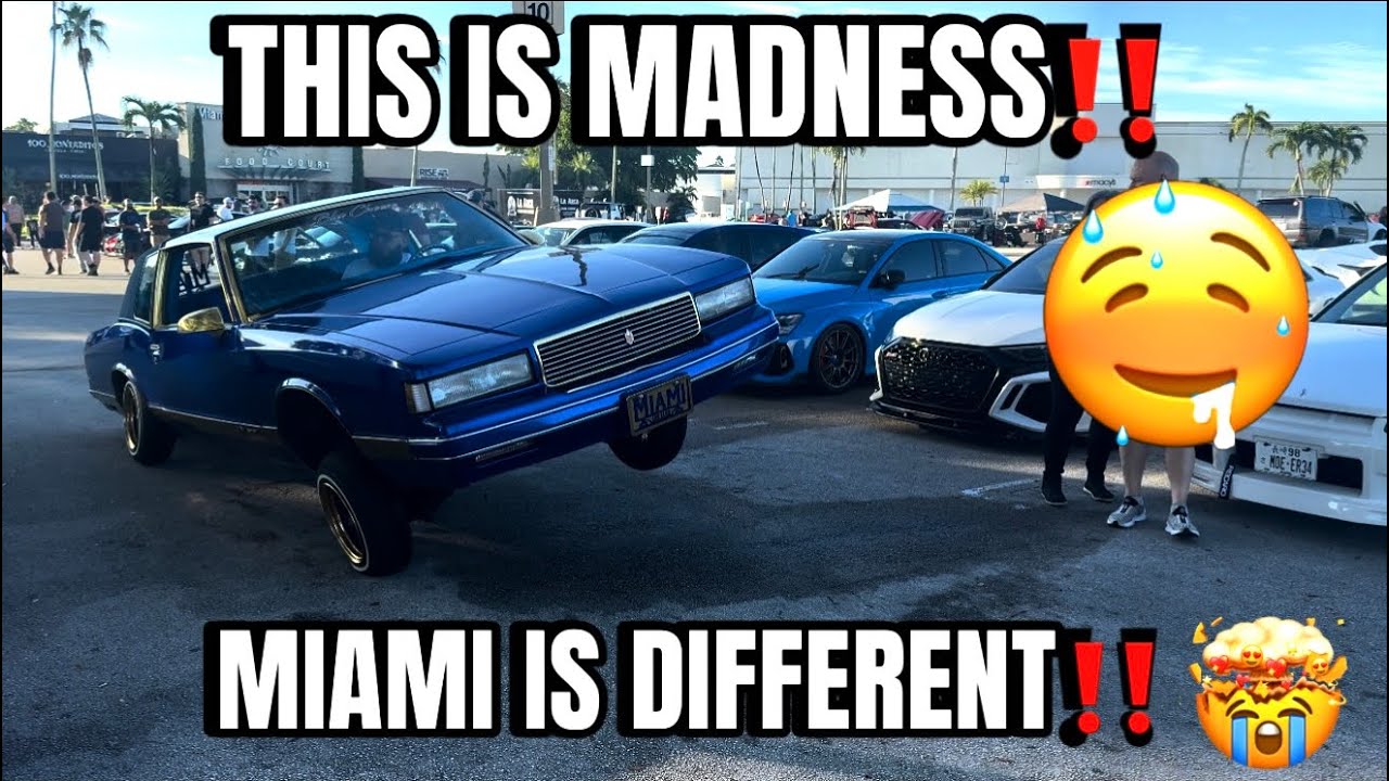 Miami Life car edition! - YouTube