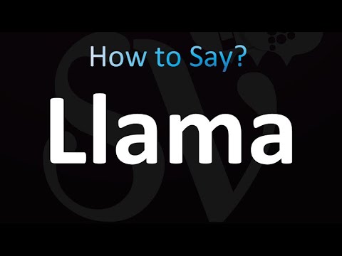 How to Pronounce Llama (Correctly!) - YouTube