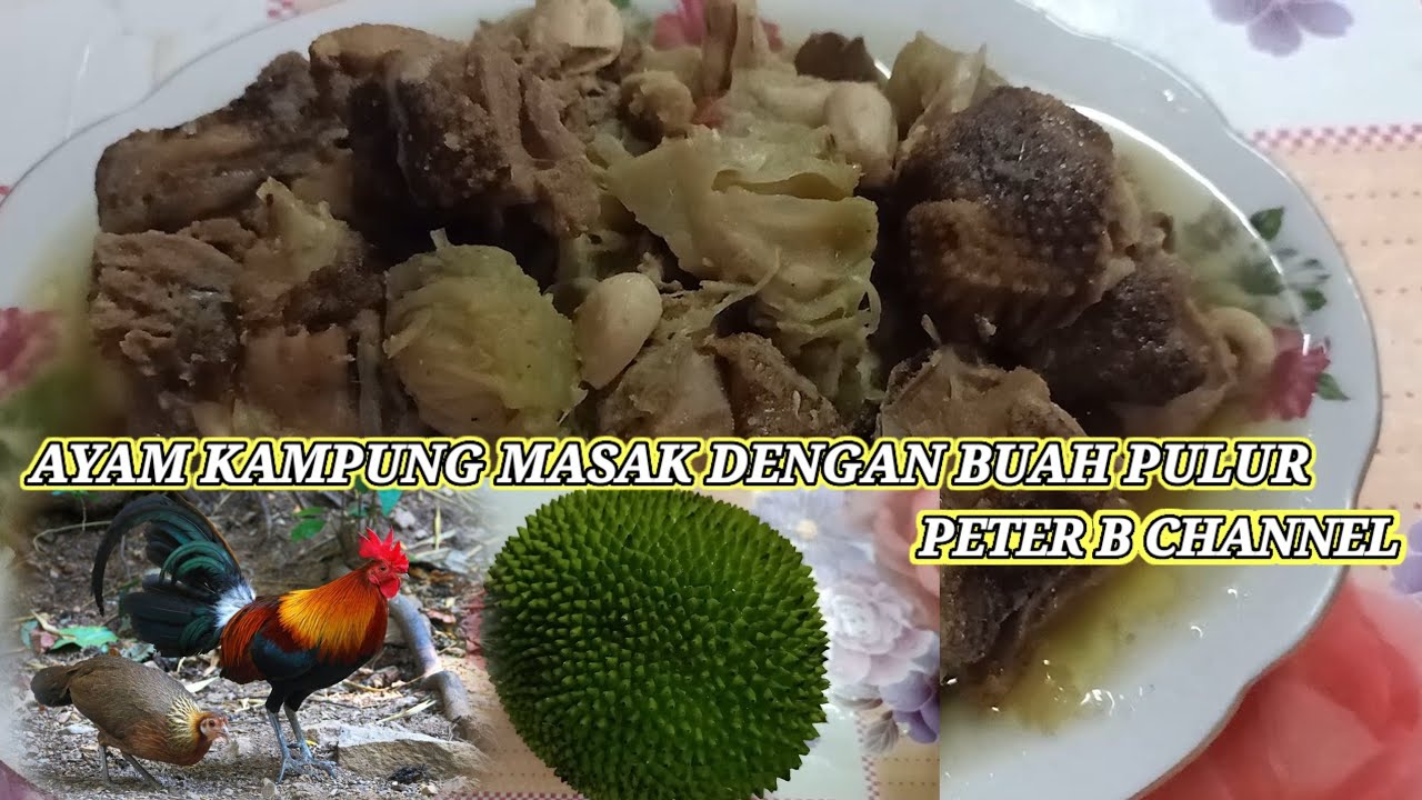 AYAM KAMPUNG MASAK DENGAN BUAH PULUR - YouTube