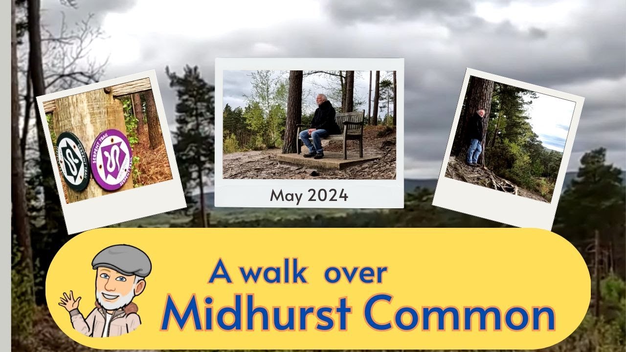 Walking over Midhurst Common - YouTube