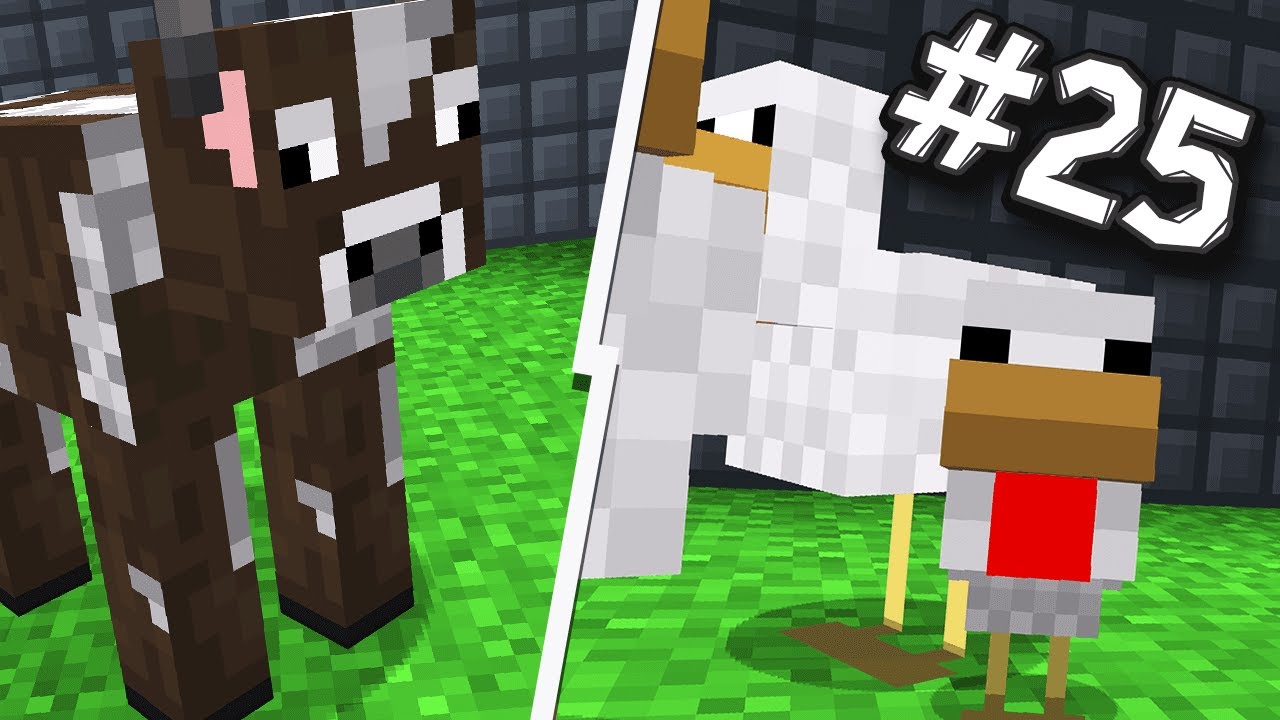 Vaca si Puiul - Compact Claustrophobia - YouTube