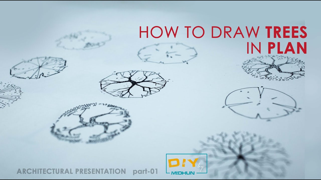 HOW TO DRAW TREES IN PLAN WITH PEN | ARCHITECTURE TREE SKETCHING TIPS ...