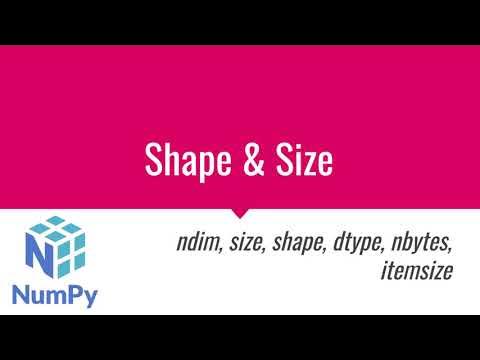 NumPy Tutorial Series: 02 - Shape & Size of NumPy Arrays - YouTube