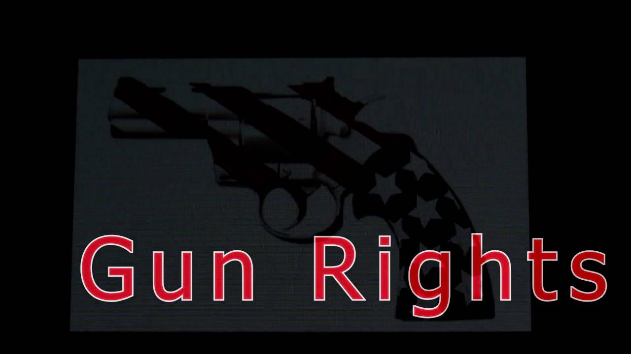 GUN RIGHTS: Logical Fallacies - YouTube