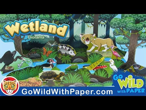 Make a Wetlands Habitat Diorama - Papercraft Diorama Project - YouTube