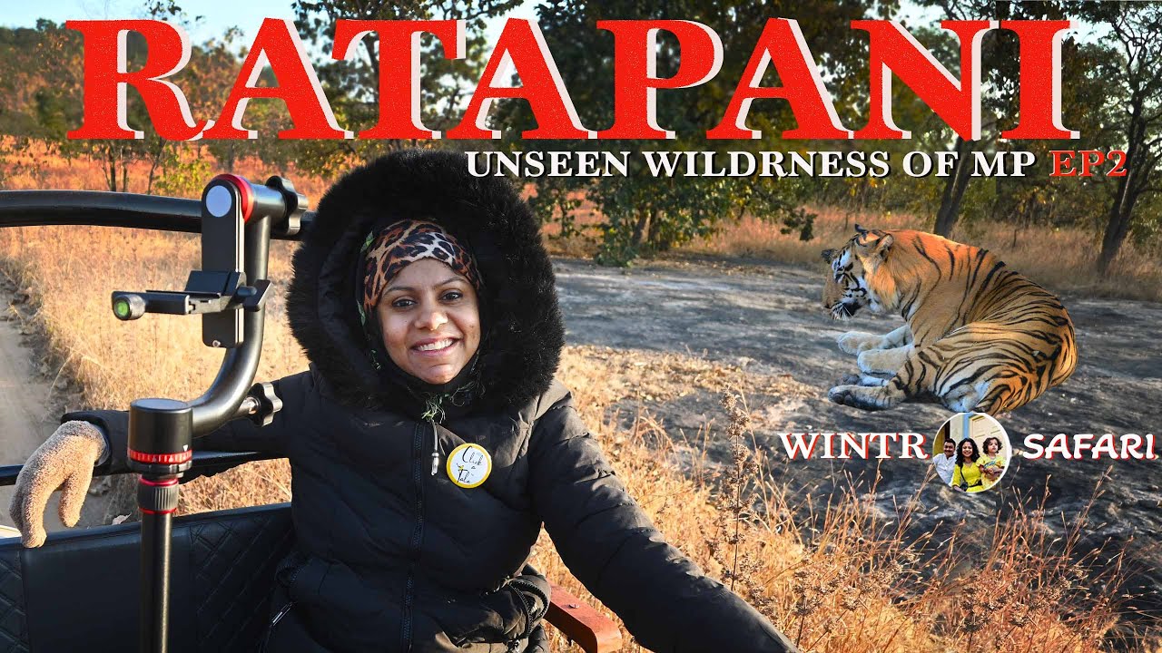 India’s Newest Tiger Hotspot? Ratapani Safari Experience - YouTube