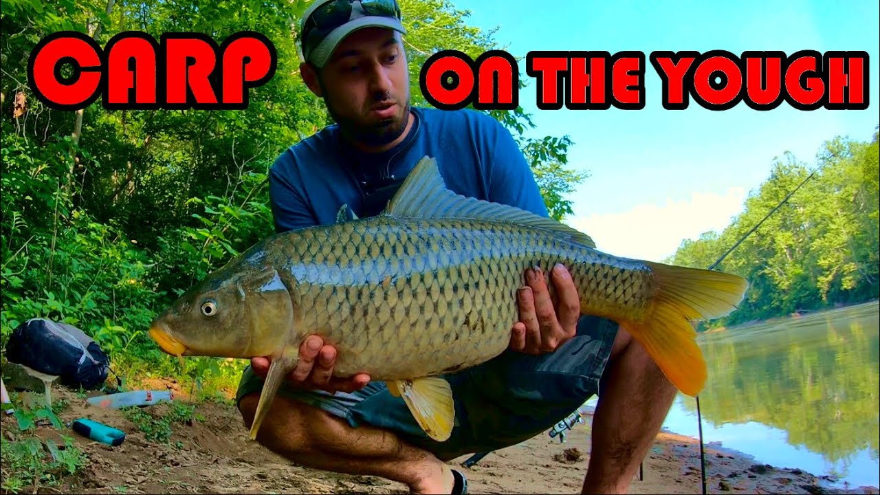 CATCHIN CARP when the Smallies and walleyes quit biting!!! | SUMMER ...
