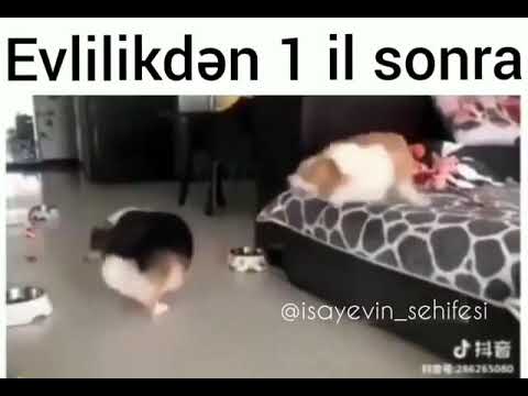 Evlilikden 1 il sonra