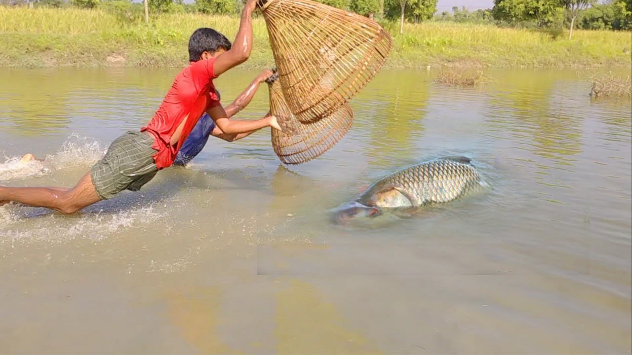 Survival in the Rainforest | fishing with Net in village canal ...