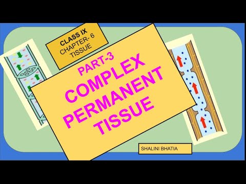 CLASS-9, CH-6, COMPLEX PERMANENT TISSUES, CBSE, NCERT - YouTube