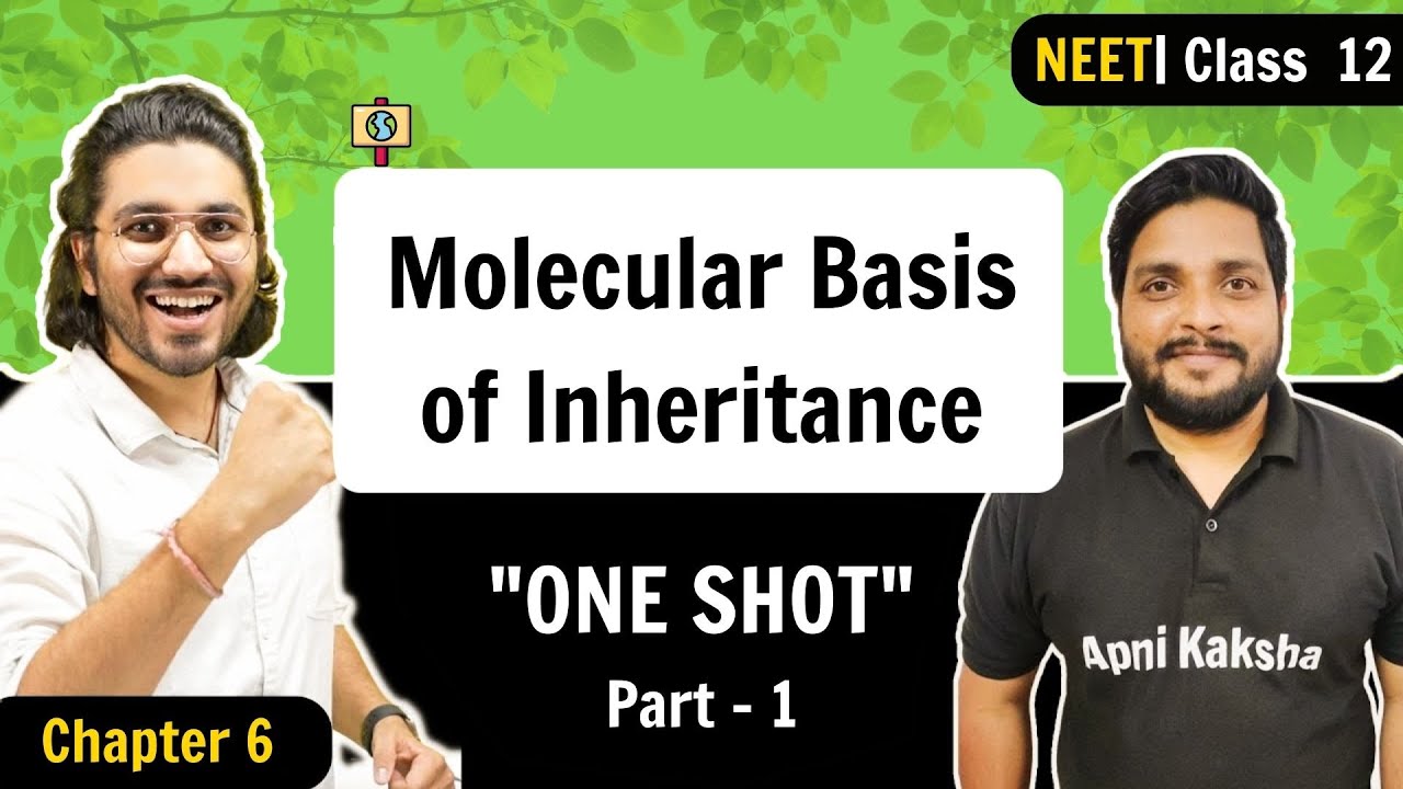 Molecular Basis of Inheritance | ONE SHOT | Part 1 | NEET 2023 ...