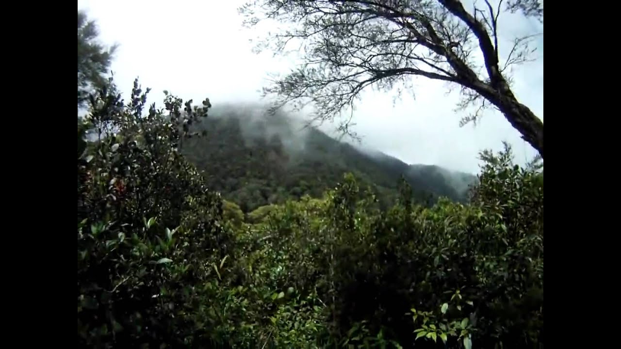 SKL - Hiking to Gunung Rajah (1685m), Bentong. Pahang. Malaysia. (Video ...