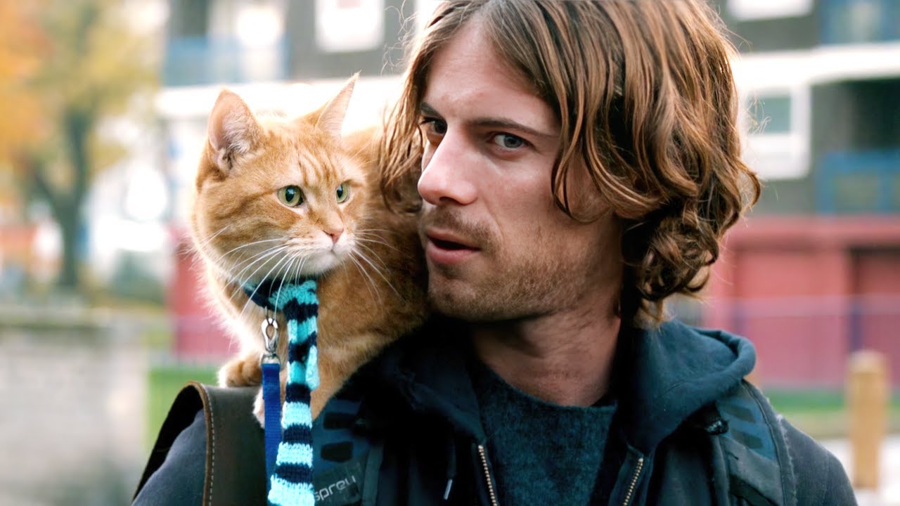 Homeless Man Adopts An Orange Cat That Turns Him From A Junkie To A ...
