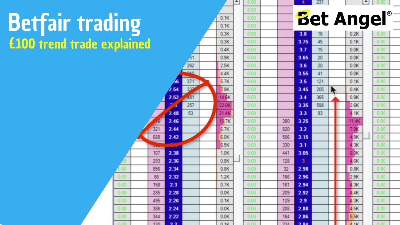 Betfair trading - A nice little trend trade on Betfair horse racing ...