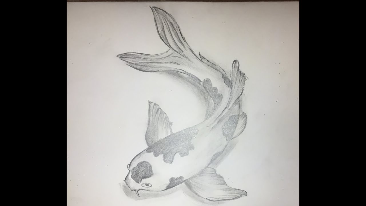 Fish Drawing and coloring with different mediums/Easy tutorials/ - YouTube