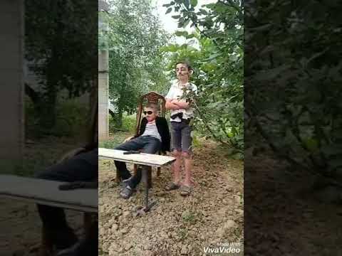 Kurtlar vadisi zövle