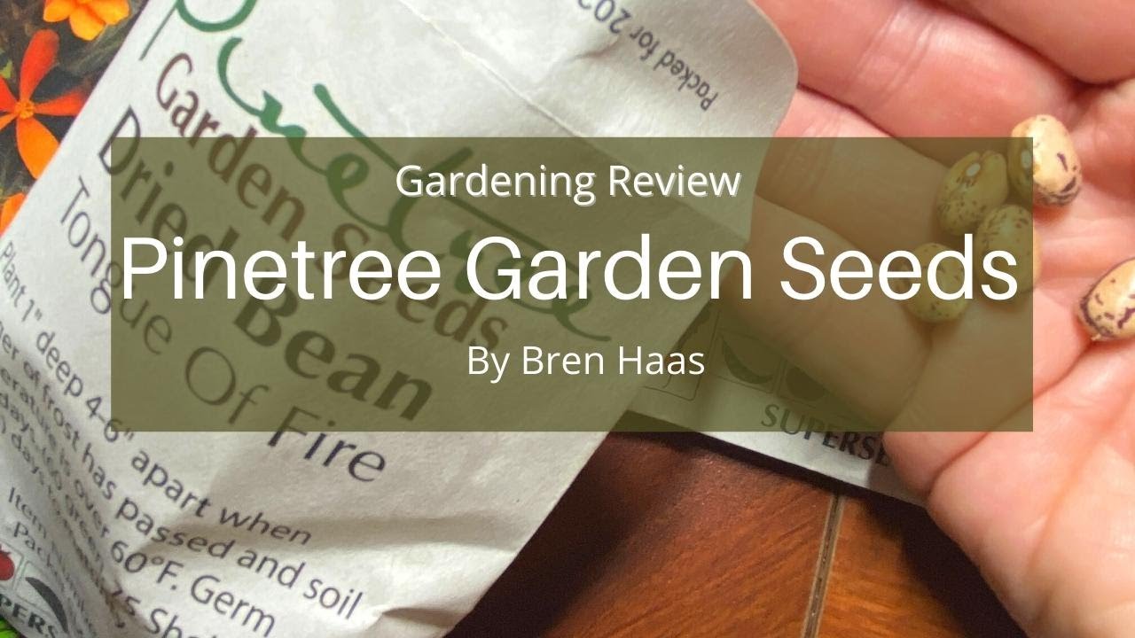 Pinetree Garden Seed Unboxing - YouTube