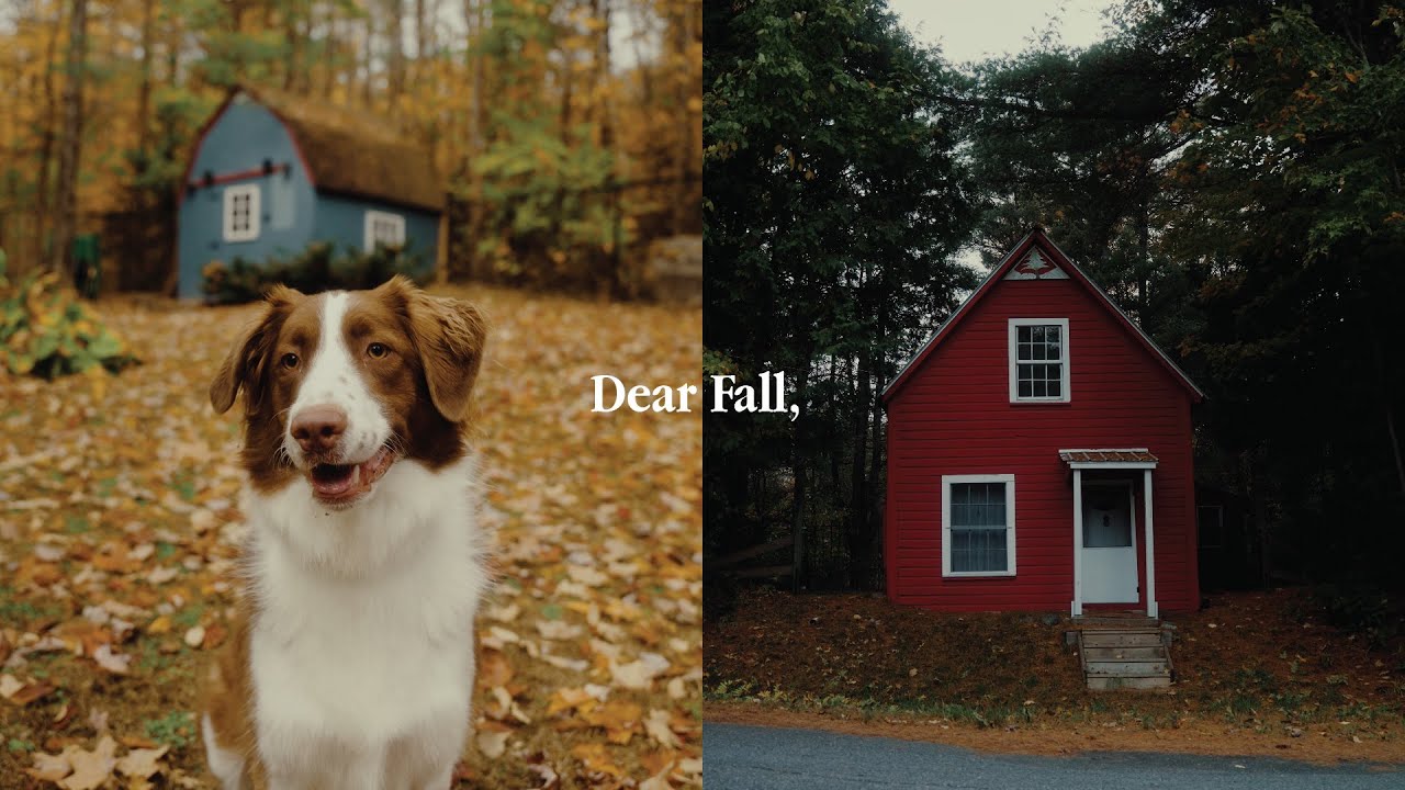 Dear Fall, - YouTube