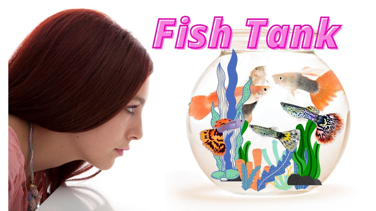 HOW DO FISH SURVIVE INSIDE THE SMALL FISH TANK - YouTube