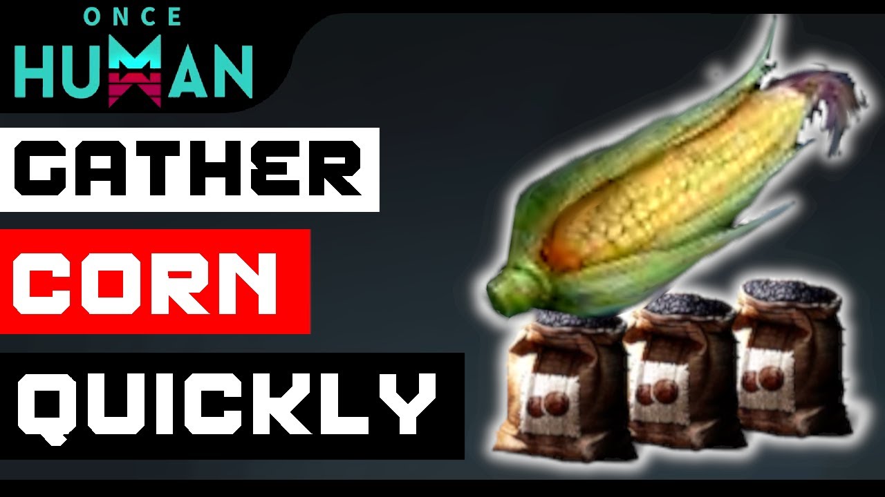 Once Human: Corn & Seeds 40+ Per Run (Manibus) - YouTube