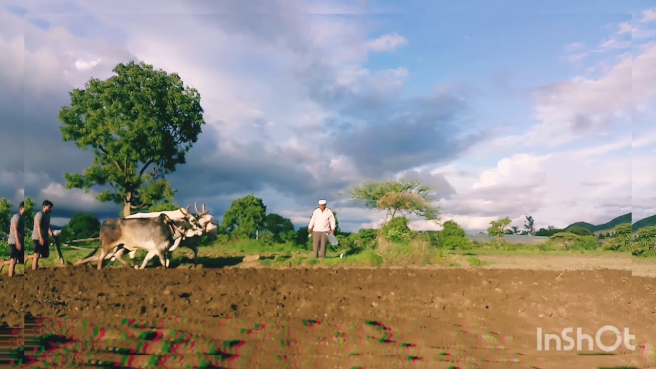 Shetakari brand(भुईमूग पेरणी) july2020 - YouTube