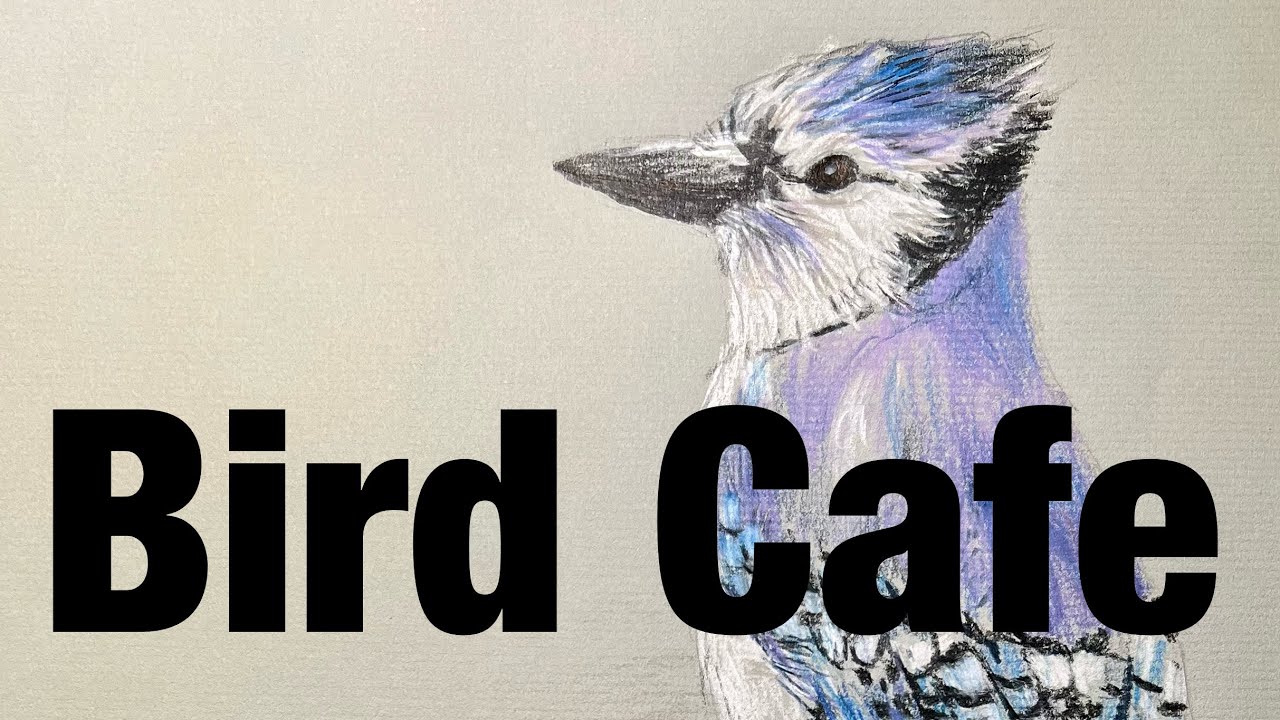 Bird Cafe - YouTube